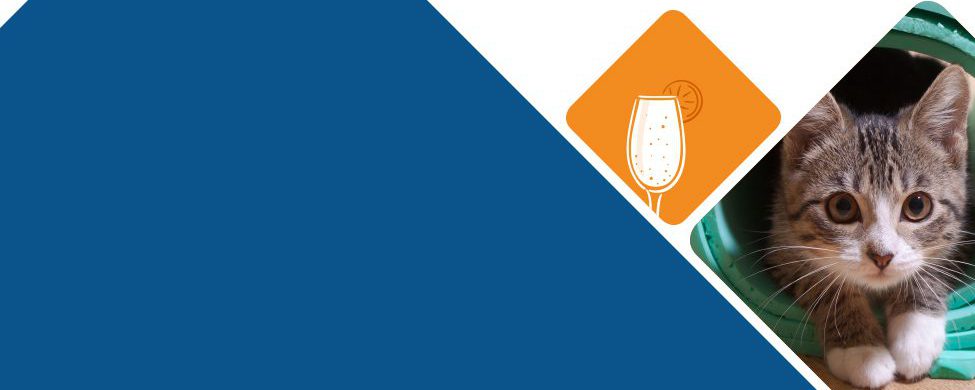 Humane Society of Boulder Valley – Creating Healthy Relationships ...