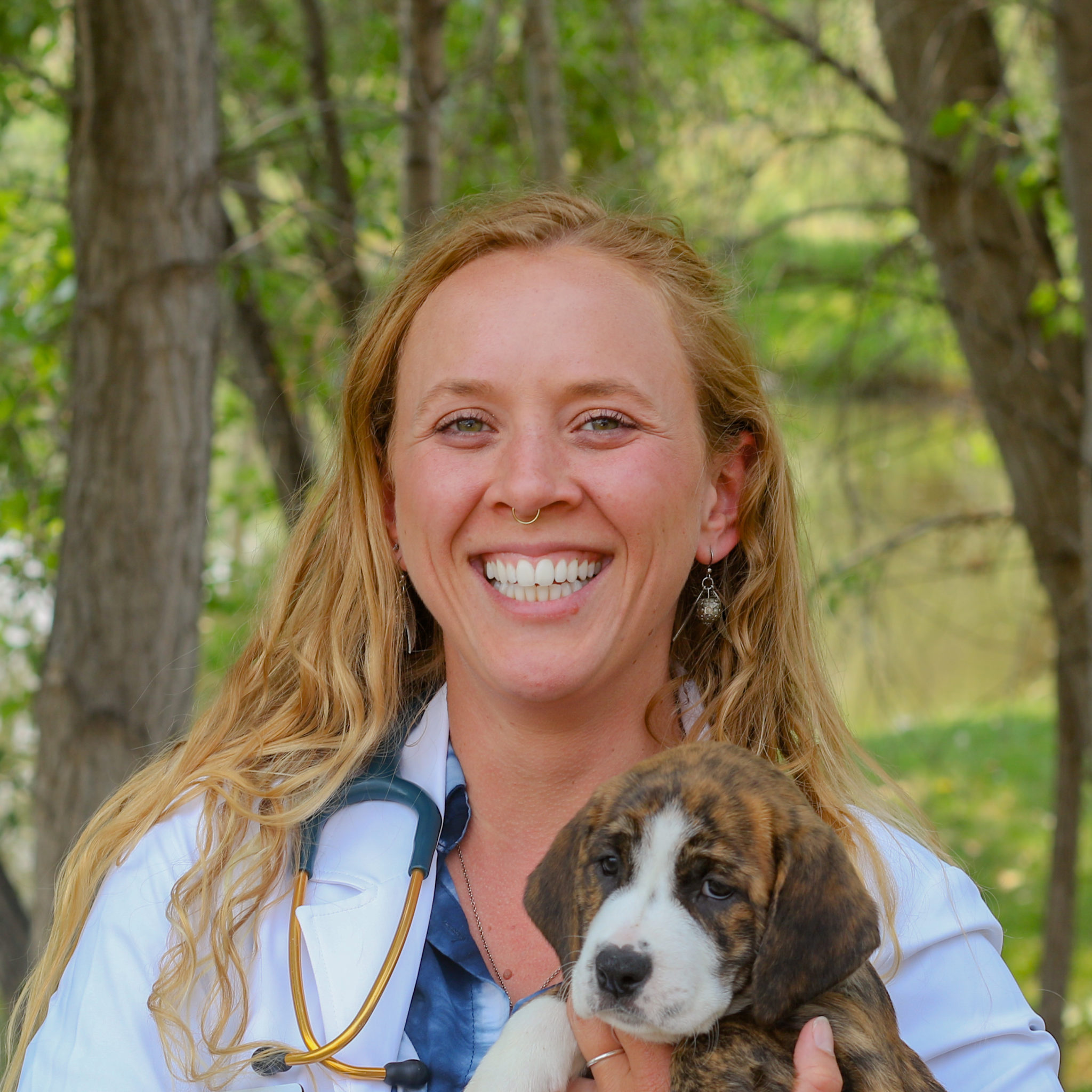 Veterinary Team – Humane Society of Boulder Valley